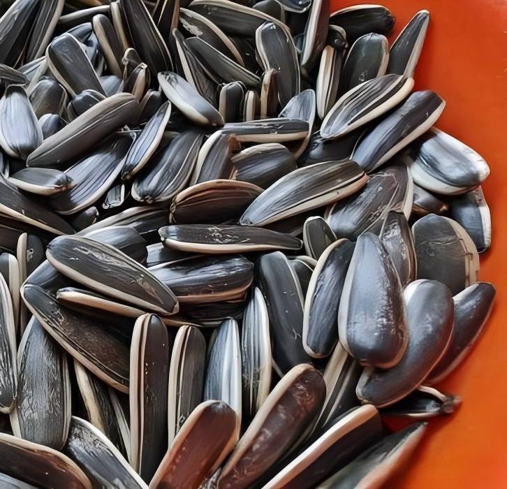 Seeds and kernels Archives - Northern China Potato Production Expert