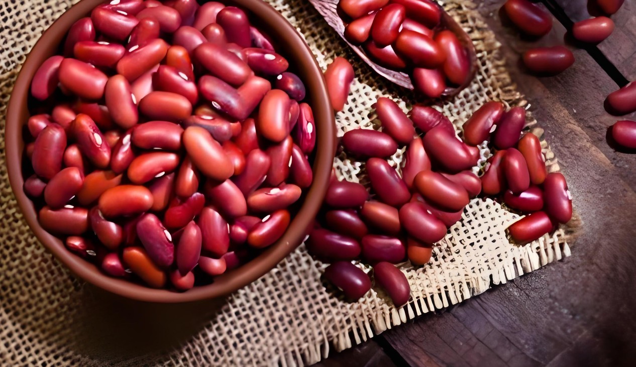 Are Kidney Beans Good For You? Analysis in 6 Aspects - DinWeys Biotech ...